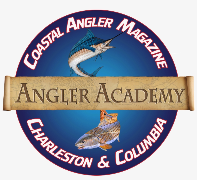 Aa-logo PNG Image | Transparent PNG Free Download on SeekPNG