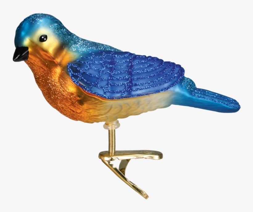 Bluebird Png PNG Image | Transparent PNG Free Download on SeekPNG