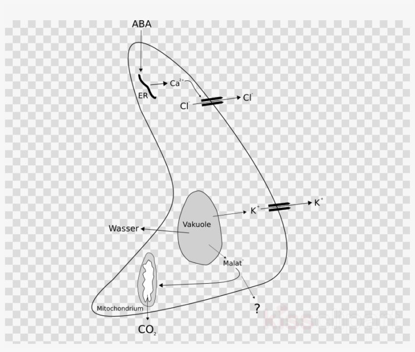 Boat Icon No Background Clipart Computer Icons PNG Image | Transparent ...