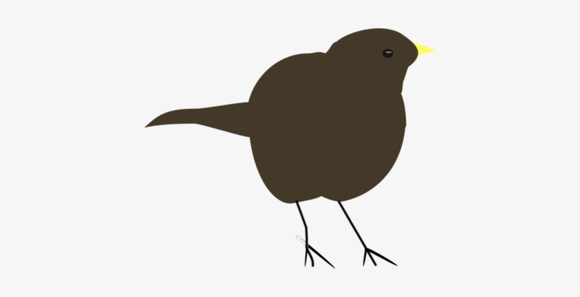 Musical Note European Robin User Interface Clef - Clip Art PNG Image ...