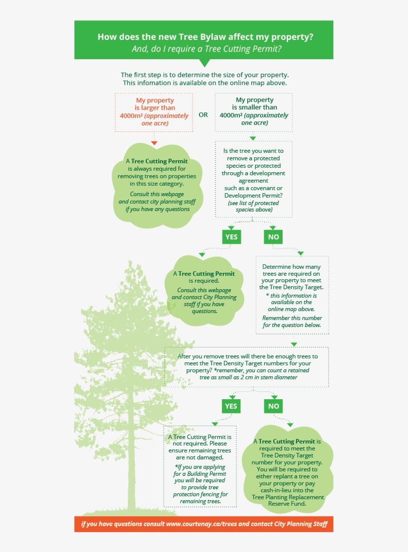 Questions - - Tree PNG Image | Transparent PNG Free Download on SeekPNG