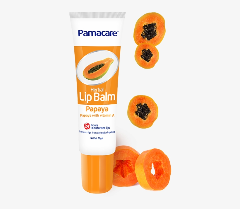 10 Gm - Lip Balm PNG Image | Transparent PNG Free Download on SeekPNG
