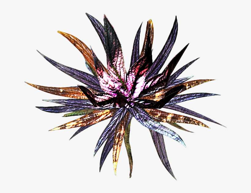 Thistle PNG Image | Transparent PNG Free Download on SeekPNG