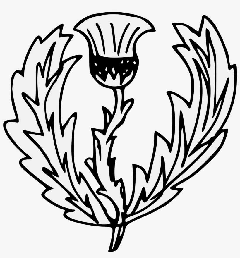 Details, Png PNG Image | Transparent PNG Free Download on SeekPNG