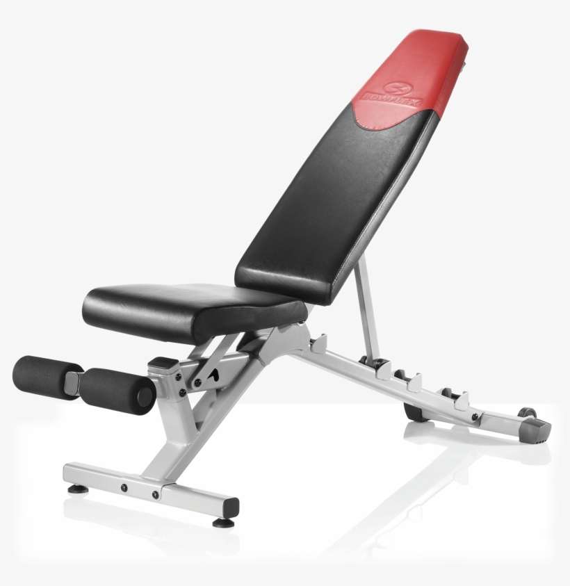 Bowflex Selecttech PNG Image | Transparent PNG Free Download on SeekPNG