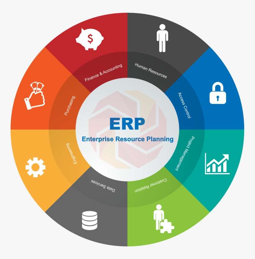 Visual Next Integrates Visual Plm PNG Image | Transparent PNG Free ...