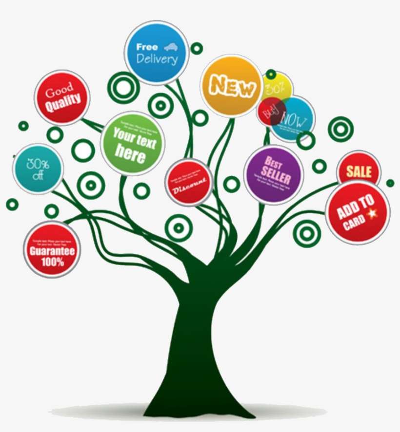 1 PNG Image | Transparent PNG Free Download on SeekPNG