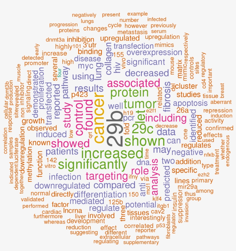 Sort By PNG Image | Transparent PNG Free Download on SeekPNG