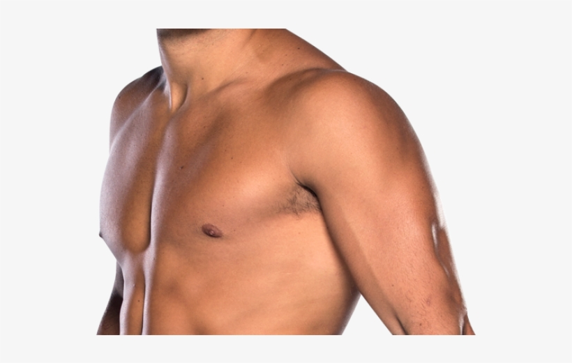 Ufc Belt Png PNG Image | Transparent PNG Free Download on SeekPNG