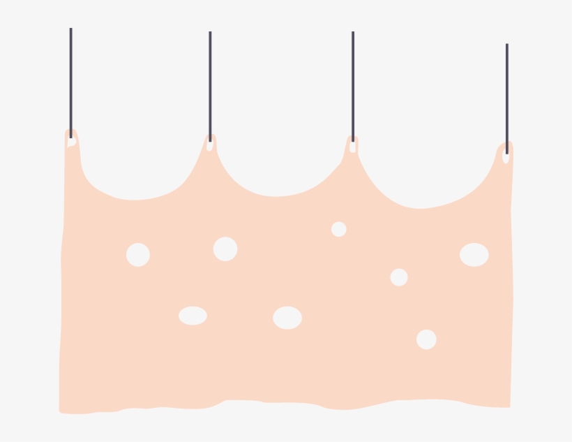 Dinglebop PNG Image | Transparent PNG Free Download on SeekPNG