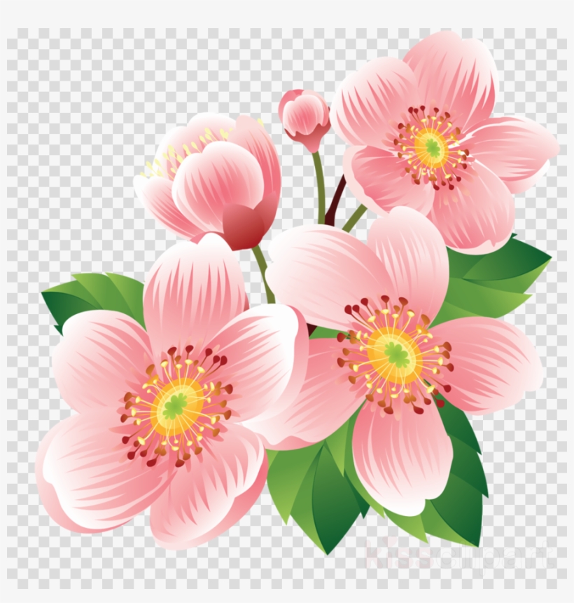 Download Joli Fleur Png Clipart Flower | Transparent PNG Download | SeekPNG