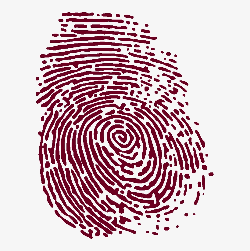 Espiral Png PNG Image | Transparent PNG Free Download on SeekPNG