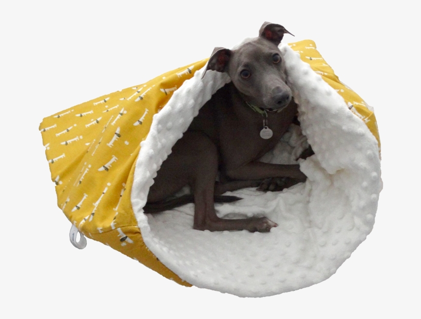 Image Is Not Available PNG Image | Transparent PNG Free Download on SeekPNG