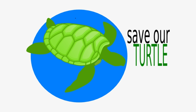 Save Our Turtle Clip Art - Save Turtles Clipart PNG Image | Transparent ...