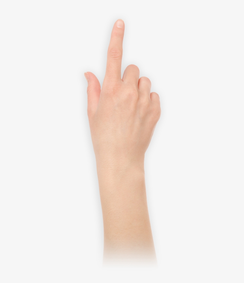 Hand PNG Image | Transparent PNG Free Download on SeekPNG