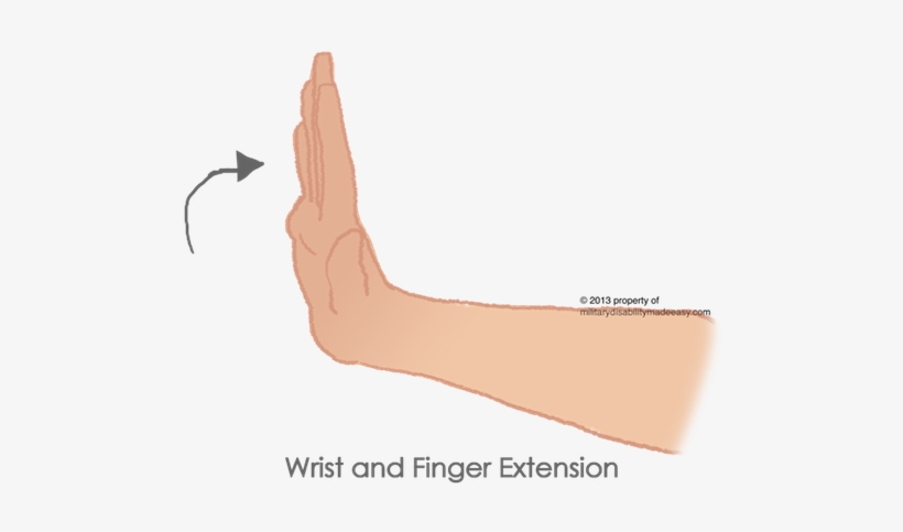 Wrist Extension 3 - Wrist PNG Image | Transparent PNG Free Download on ...