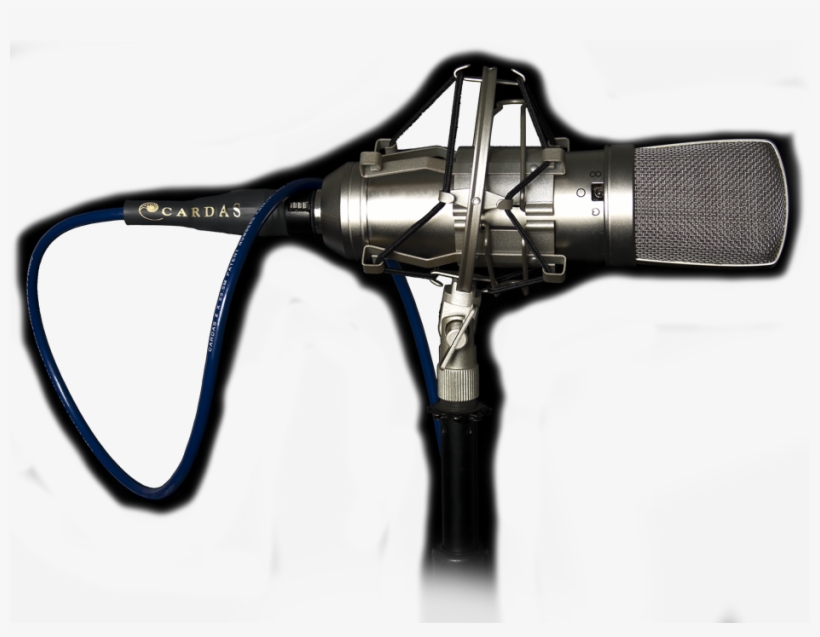 Mic With Cord Png PNG Image | Transparent PNG Free Download on SeekPNG