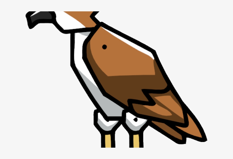 Osprey Png PNG Image | Transparent PNG Free Download on SeekPNG