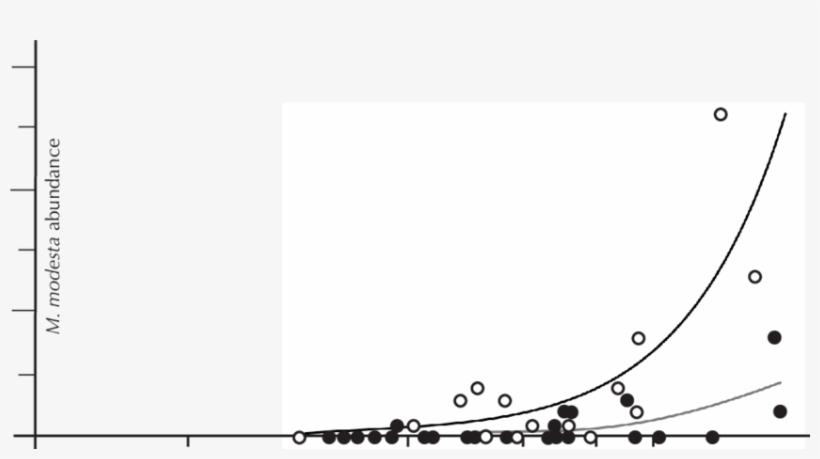 The Number Of Mecistogaster Modesta Larvae Per Bromeliad PNG Image ...