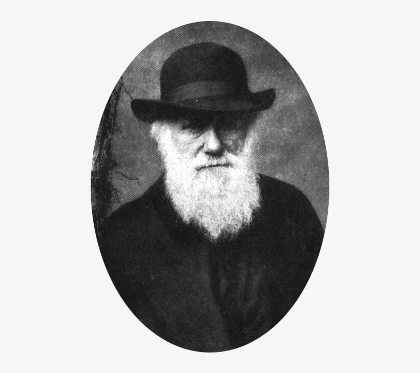 Charles Darwin's Theory PNG Image | Transparent PNG Free Download on ...