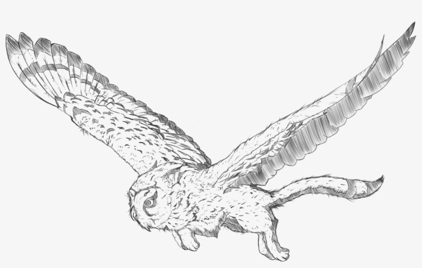 The Gryphowl Is A Loner By Nature, But Will Often Form PNG Image ...