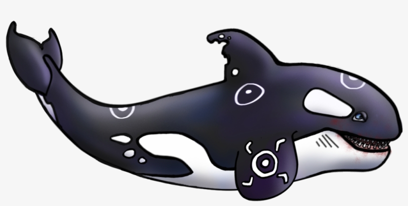 Orca First Draft Armourless Orca PNG Image | Transparent PNG Free ...