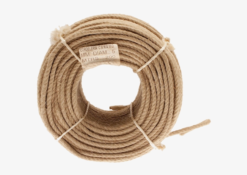 Corda Png PNG Image | Transparent PNG Free Download on SeekPNG