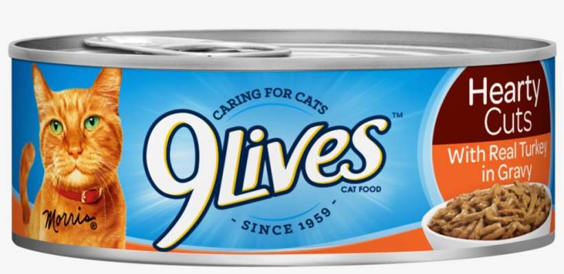 Gravy Png PNG Image | Transparent PNG Free Download on SeekPNG