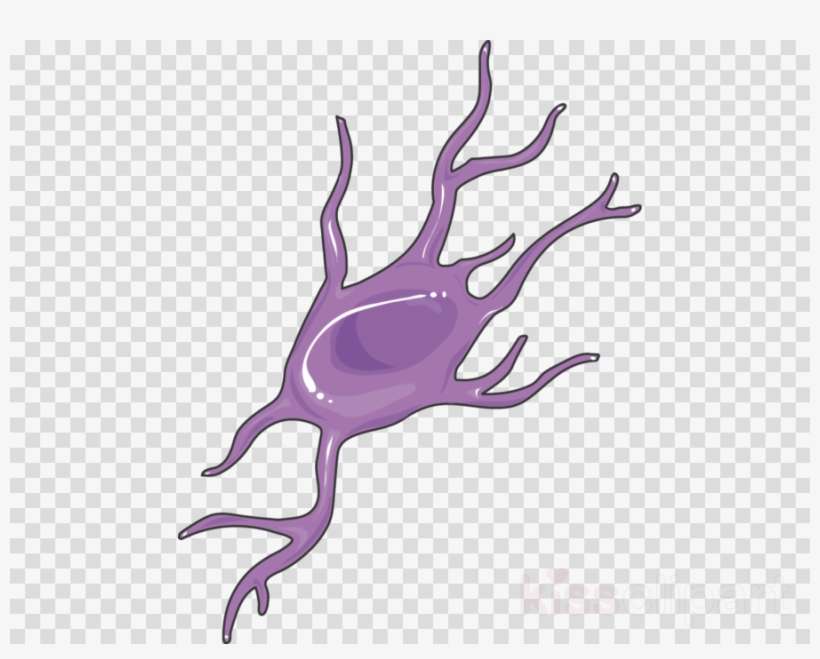 Nervous Png PNG Image | Transparent PNG Free Download on SeekPNG