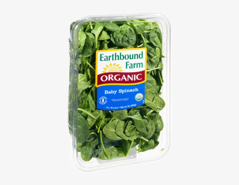 Earthbound Png PNG Image | Transparent PNG Free Download on SeekPNG