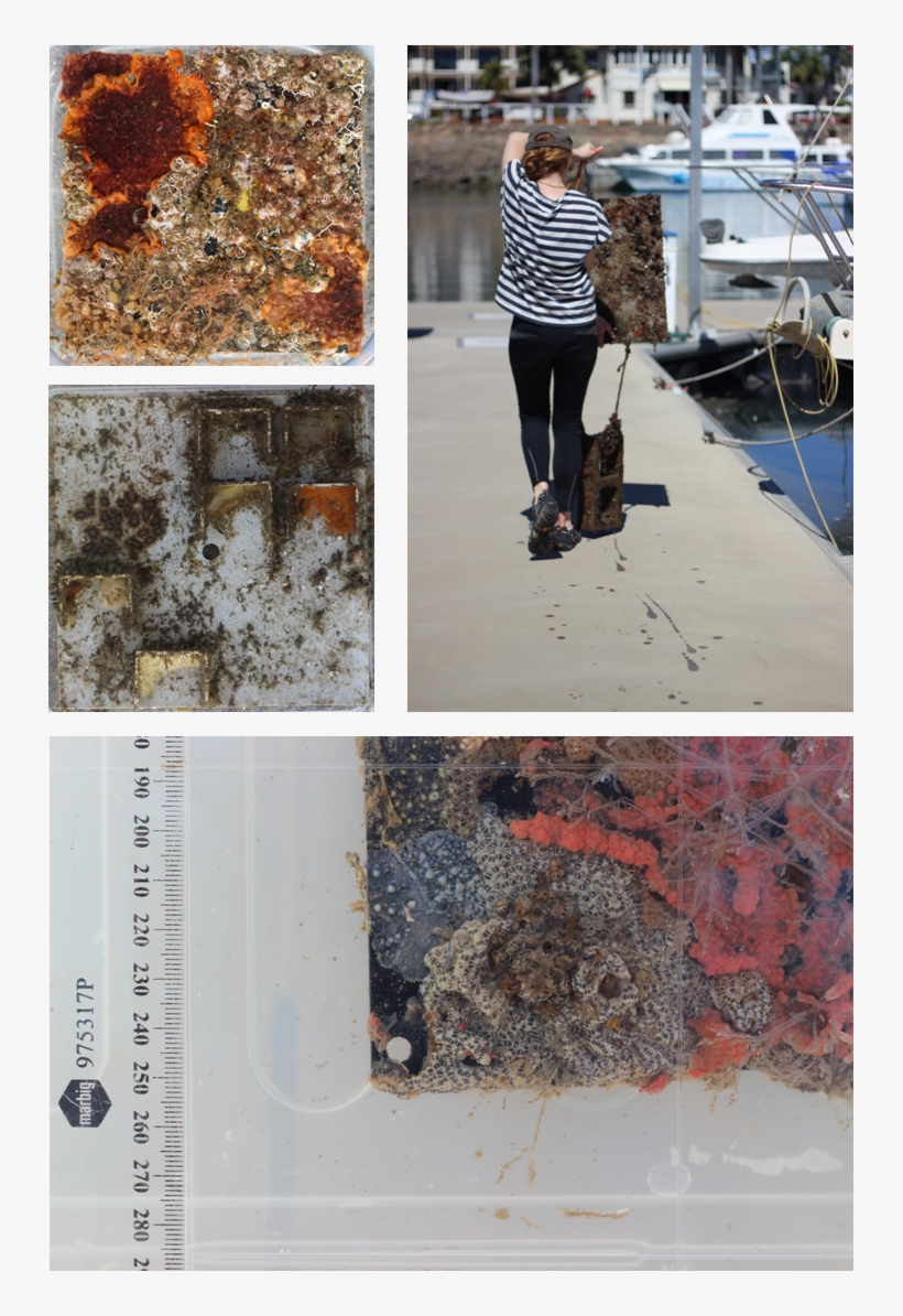 Supervisors - PNG Image | Transparent PNG Free Download on SeekPNG