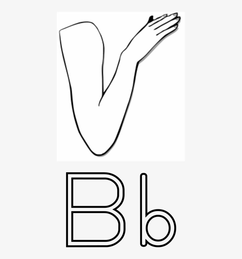 Brazo Png PNG Image | Transparent PNG Free Download on SeekPNG