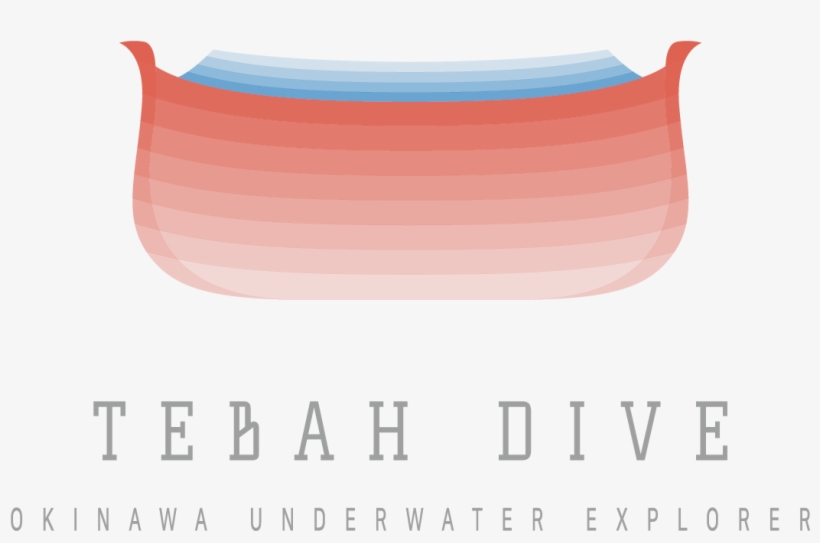 Question Mark .png PNG Image | Transparent PNG Free Download on SeekPNG