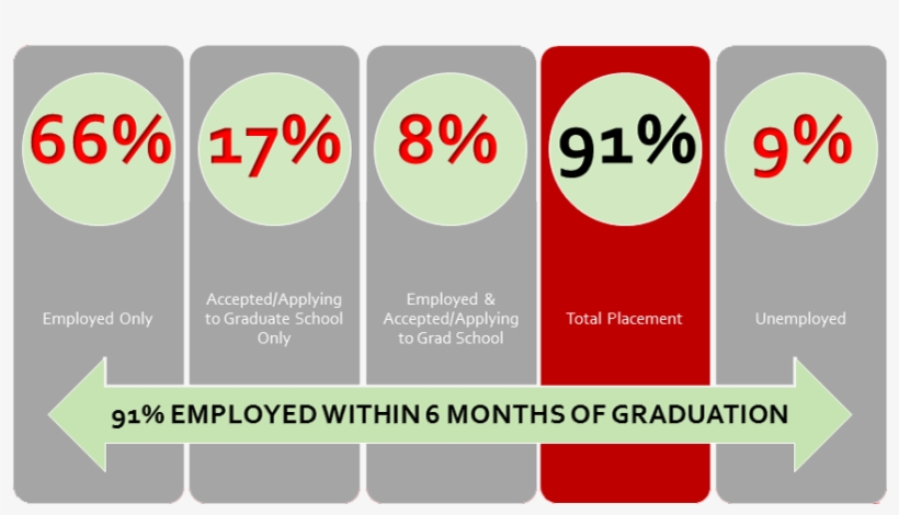 First Destination Survey Data PNG Image | Transparent PNG Free Download ...