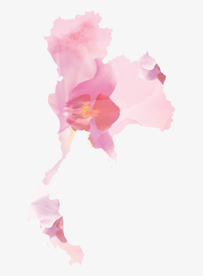 นีโอฟาร์ม ฟาร์มกล้วยไม้ ราชบุรี - Neo Farm (thailand) PNG Image ...