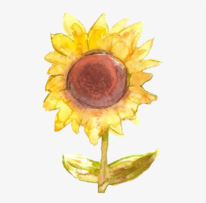 Scroll - Sunflower Necklace Oval Charm PNG Image | Transparent PNG Free ...