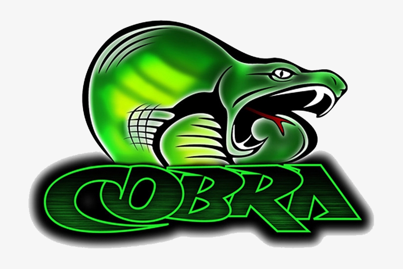 Cobra Rc Motors PNG Image | Transparent PNG Free Download on SeekPNG