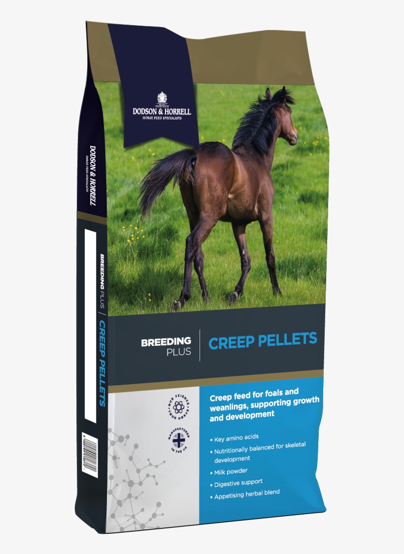 Dodson & Horrell PNG Image | Transparent PNG Free Download on SeekPNG