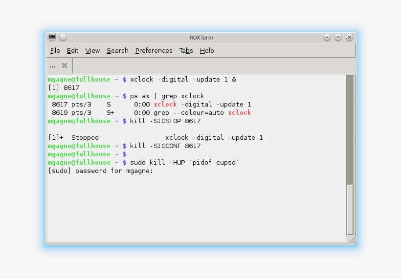 Roxterm Killproc PNG Image | Transparent PNG Free Download on SeekPNG