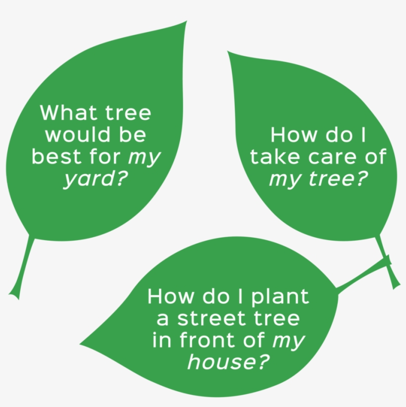 Resources2 PNG Image | Transparent PNG Free Download on SeekPNG