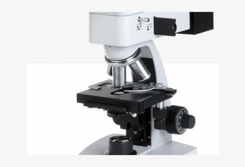 Microscope Clipart Translucent PNG Image | Transparent PNG Free ...