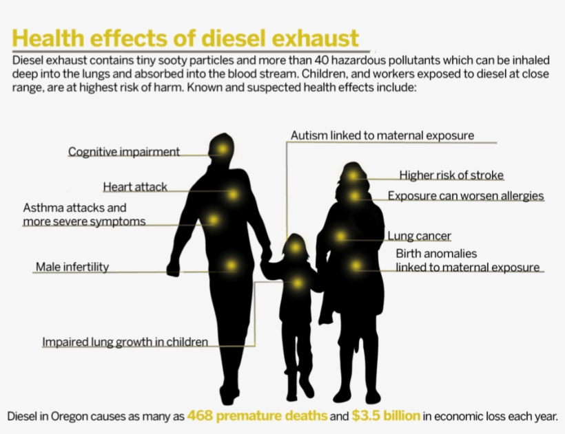 Clearing PNG Image | Transparent PNG Free Download on SeekPNG