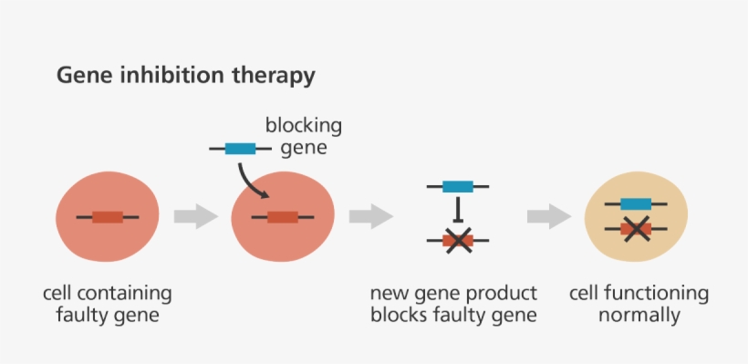Killing Of Specific Cells PNG Image | Transparent PNG Free Download on ...