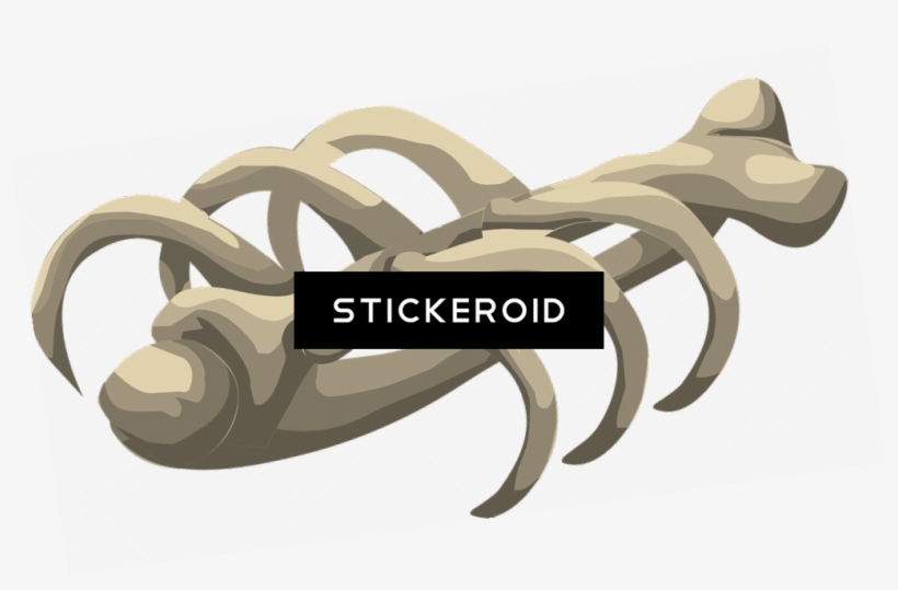 Download Bones | Transparent PNG Download | SeekPNG