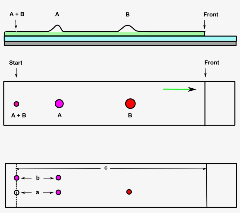 Open PNG Image | Transparent PNG Free Download on SeekPNG