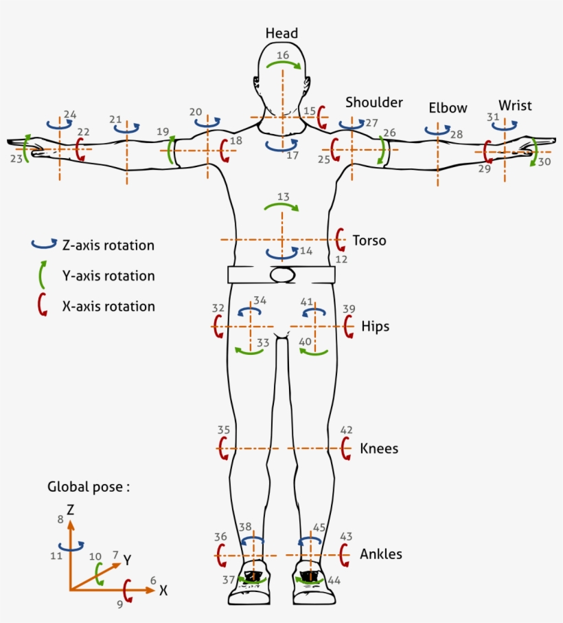 Images/human Joints PNG Image | Transparent PNG Free Download on SeekPNG