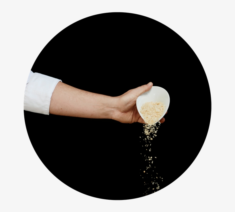 Next PNG Image | Transparent PNG Free Download on SeekPNG