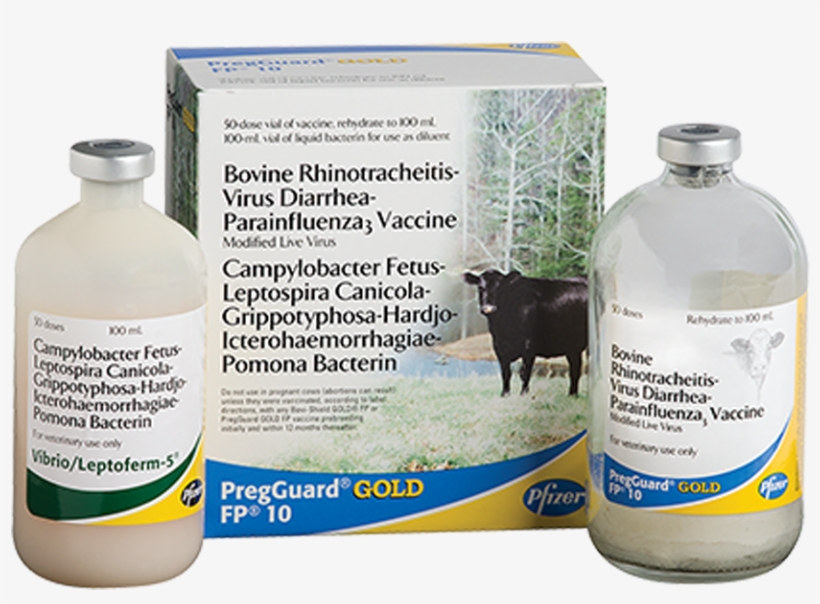 Pregguard Gold Fp10 50ds PNG Image | Transparent PNG Free Download on ...