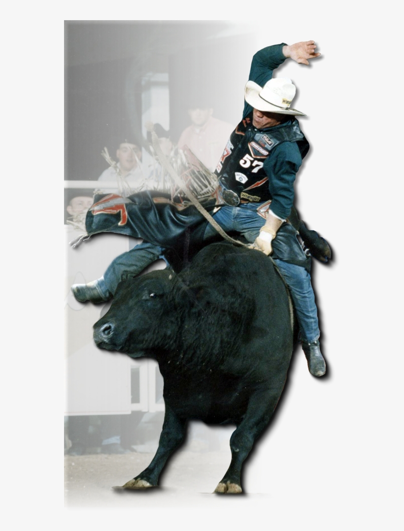 Eddie Fisher Bull Rider PNG Image | Transparent PNG Free Download on ...