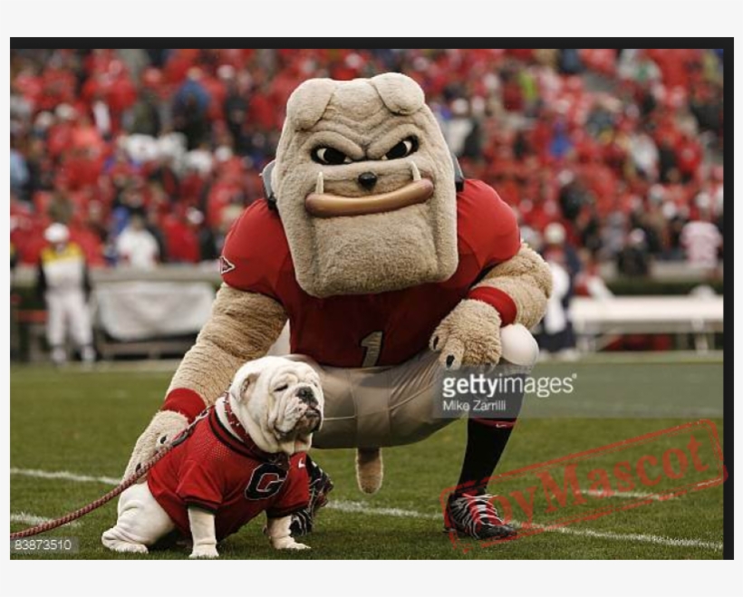 Georgia Bulldog Mascot PNG Image | Transparent PNG Free Download on SeekPNG